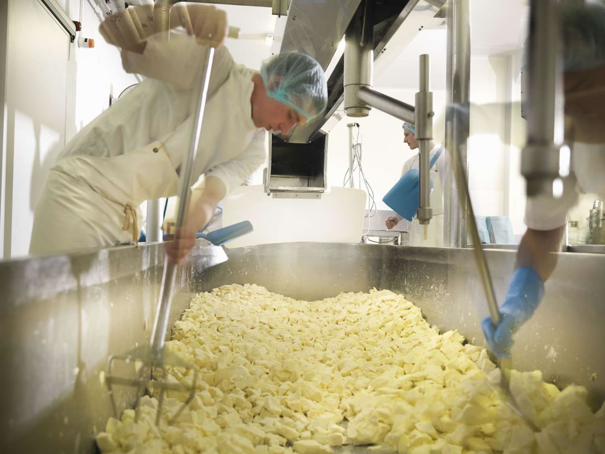 Cheese Production – Hunters Farm Limited